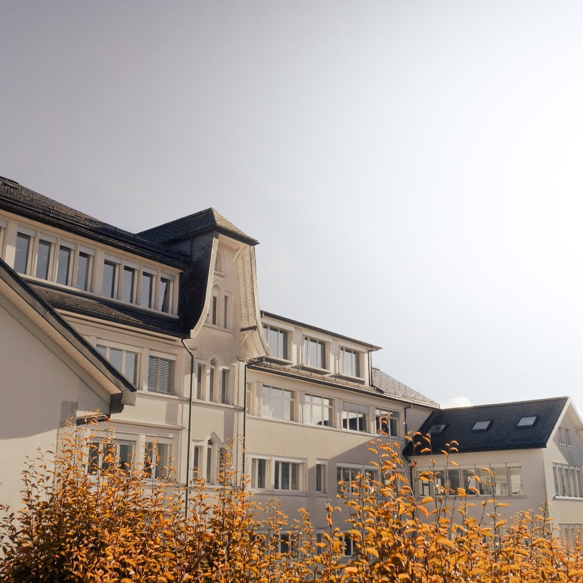 Rose Gold Men Watch Automatic Master Ultra Thin Perpetual Calendar ...