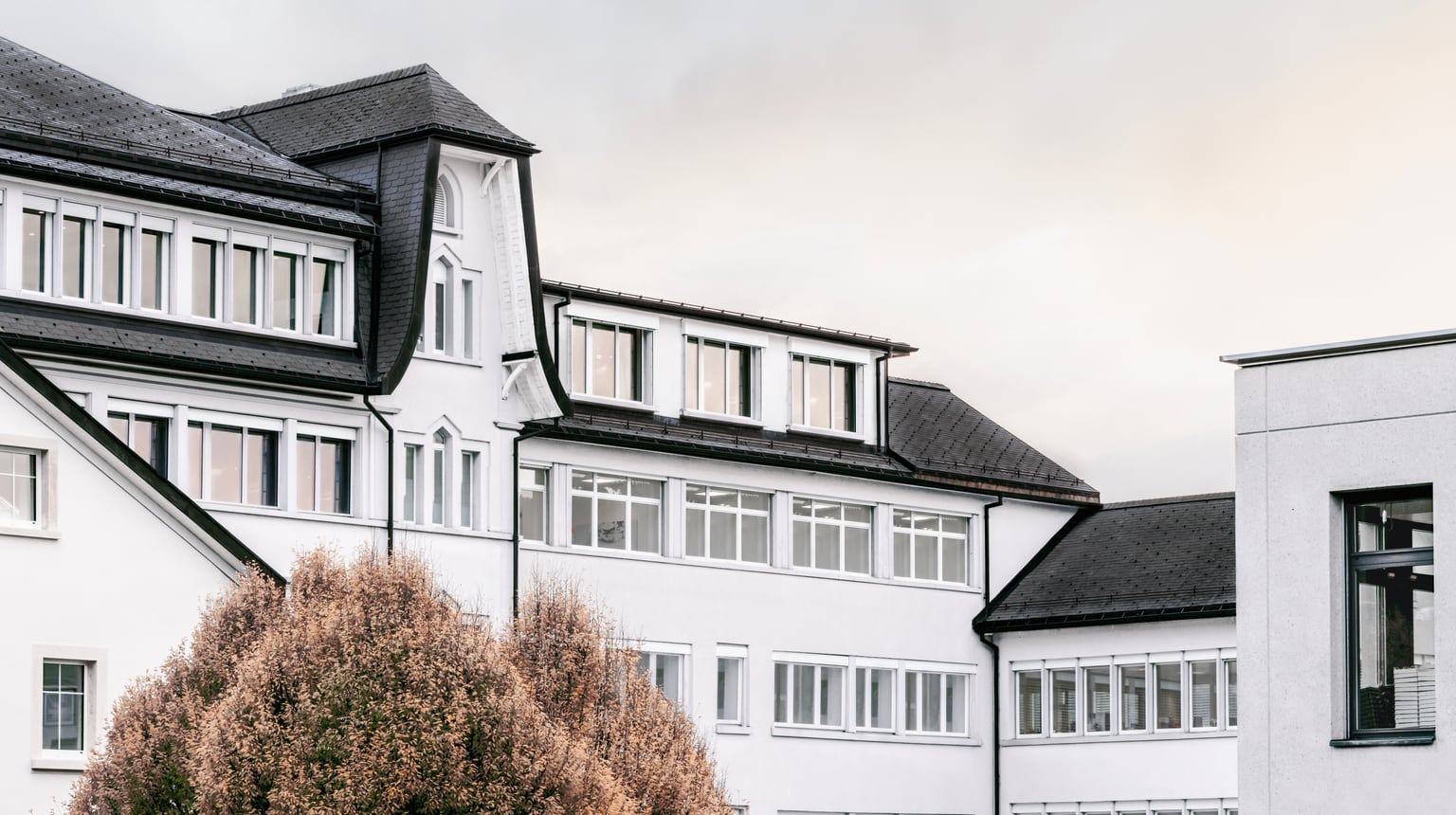 The History of the Luxury Watch Caliber 101| Jaeger-LeCoultre