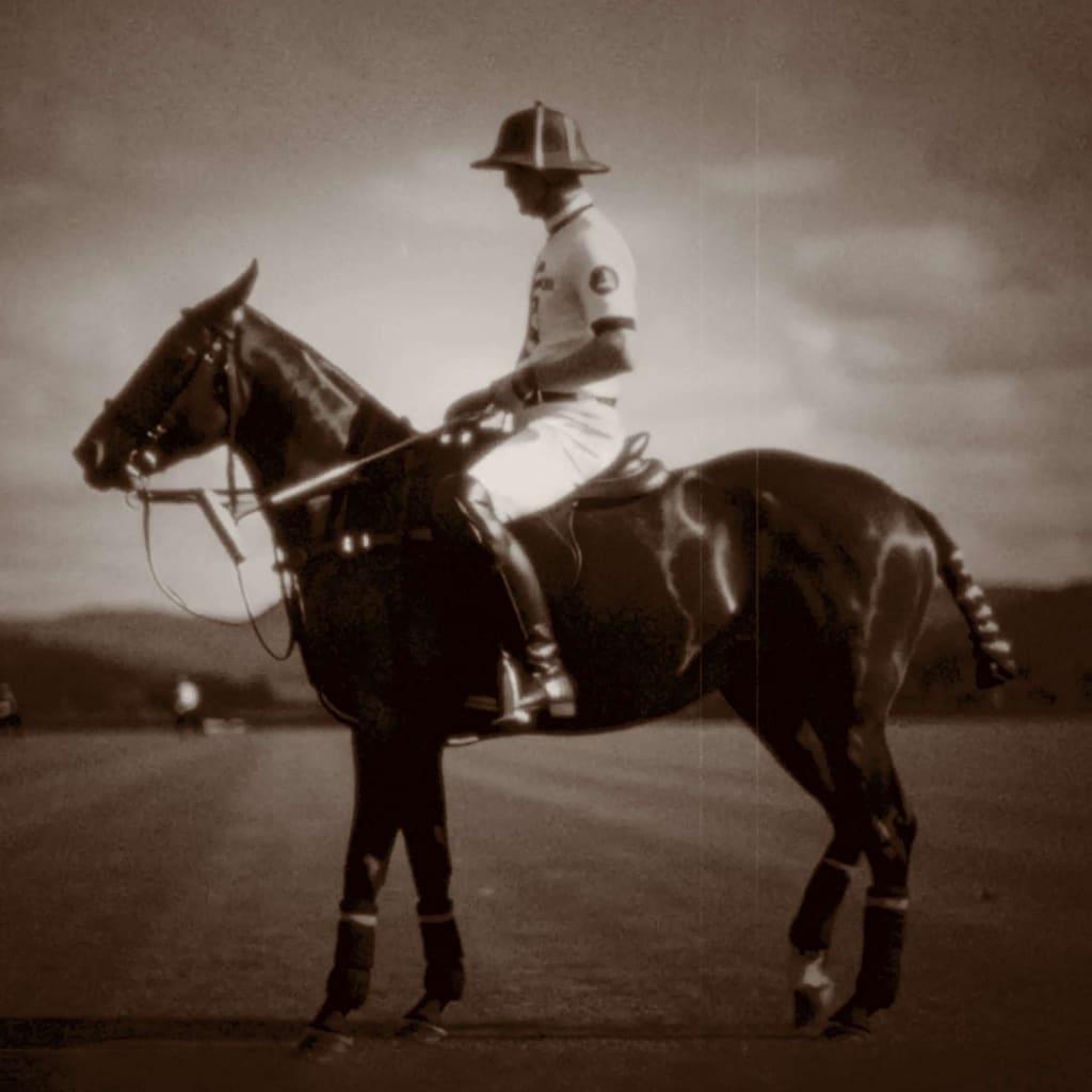 Polaris Chronograph watch q902843j | Jaeger-LeCoultre