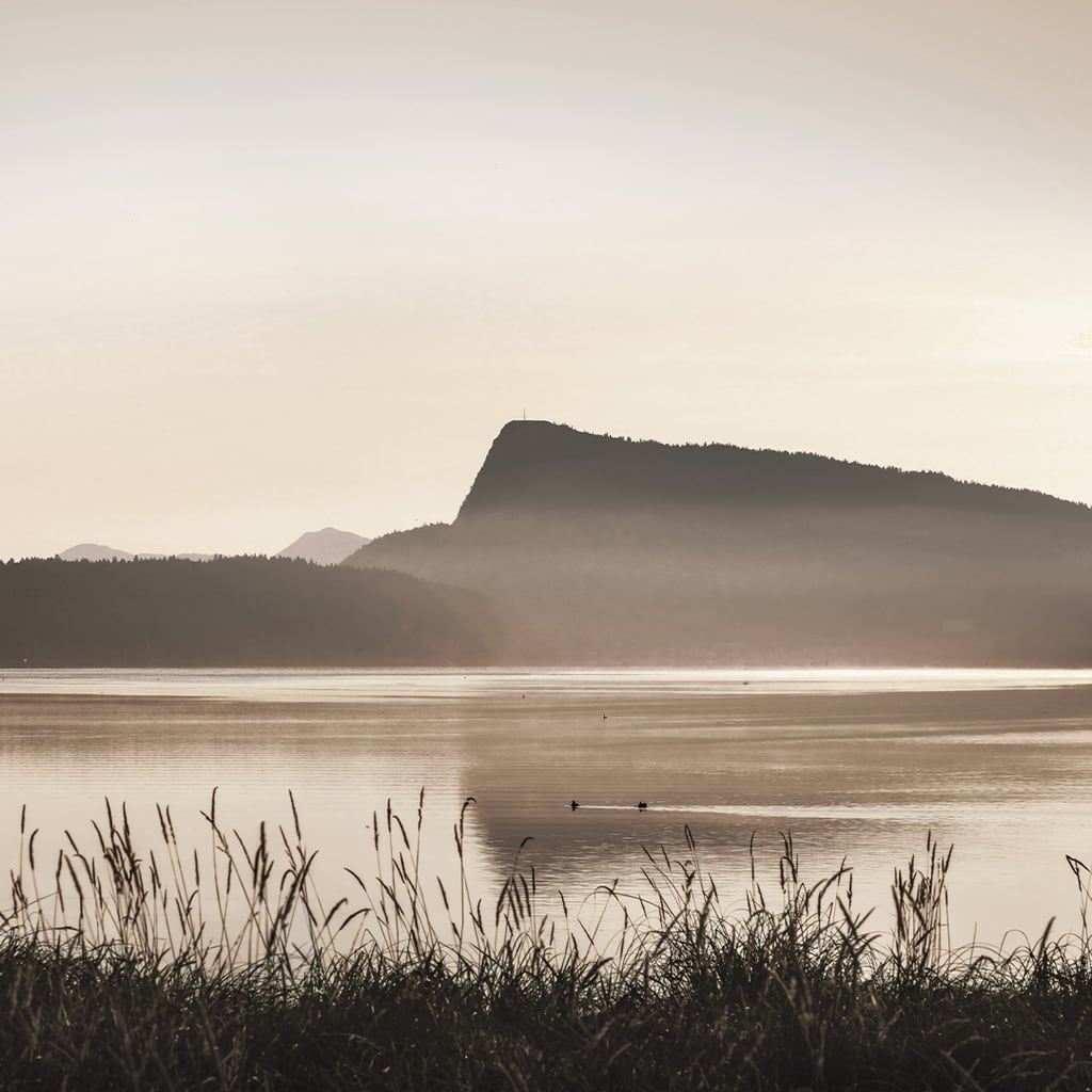 Rose Gold Men Watch Manual winding Reverso Tribute Chronograph Q389256J ...